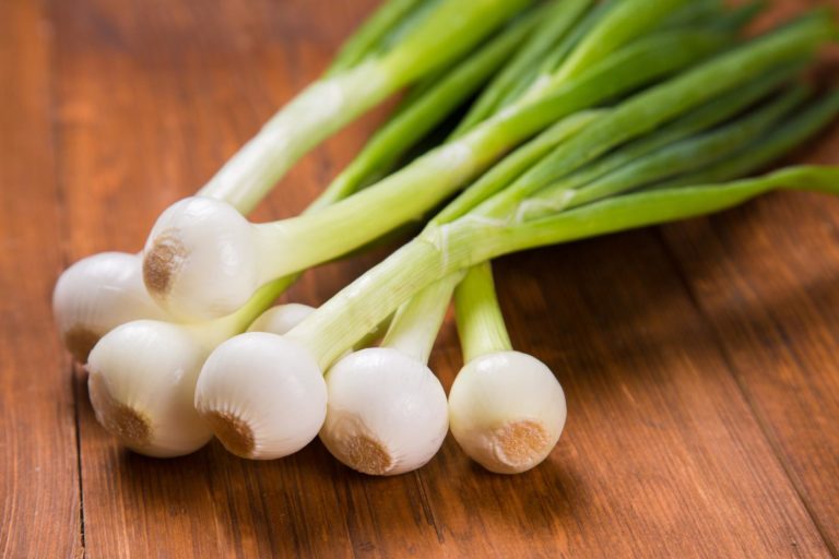 Jeune oignon (Local) - ByO - Votre magasin naturel et bio